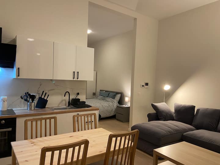 Spacious Studio With Terrace In Koekelberg - Brussels