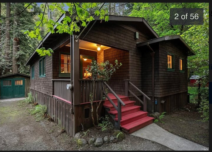 Relaxing Cabin In The Woods- - Cazadero, CA