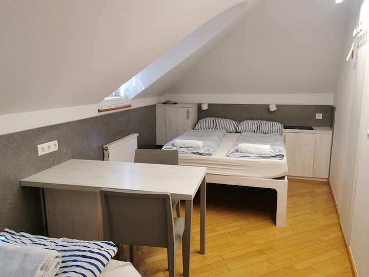 Room For 3 With Shared Bathroom (Ljubljana Centre) - Ljubljana