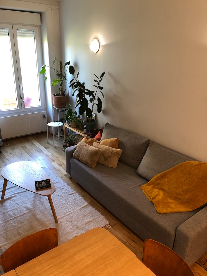 Appartement Cosy Place Guichard - Lyon