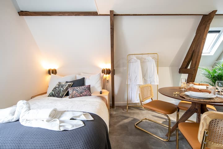 New Family Xl Penthouse + Terrace 7min->rotterdam - Schiedam