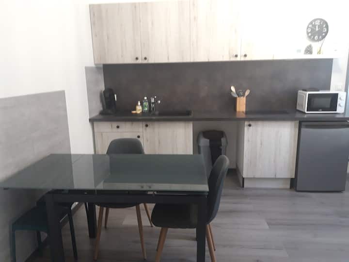 Curial Insolite A1 : Charmant Appartement De 30 M2 - Chambéry