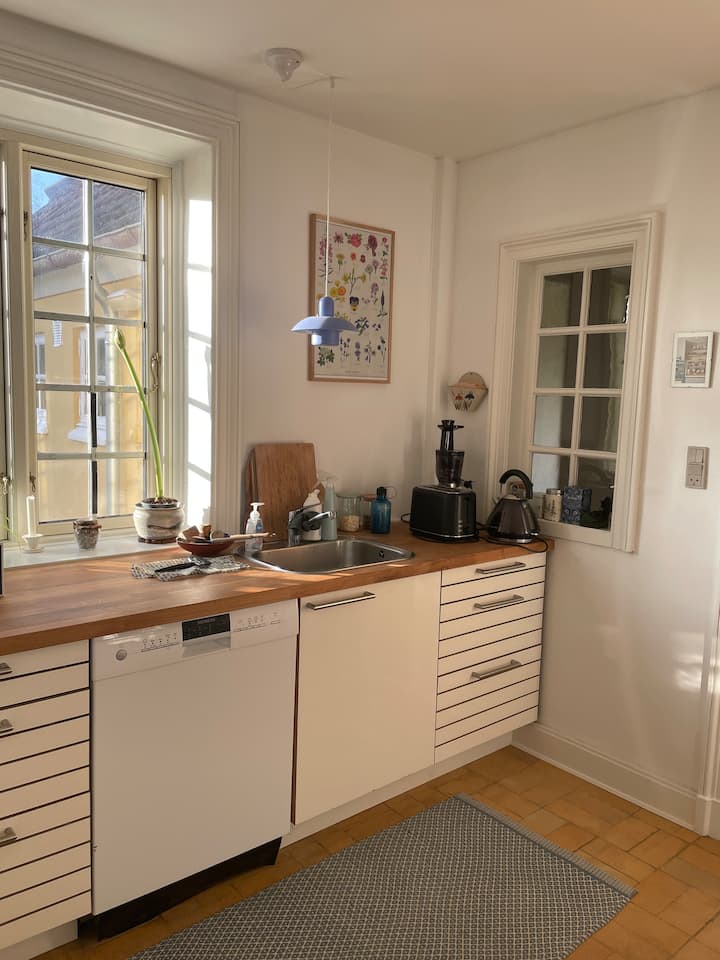 Hyggeligt Rækkehus Tæt På By Og Natur - Odense
