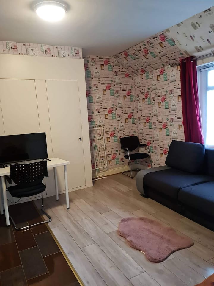 Lovely Central 1-bedroom Condo - Dublin