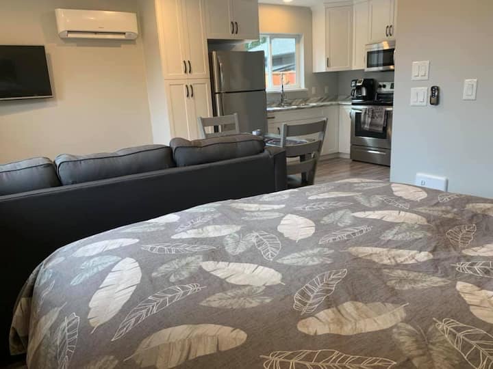 Chims Motel-1 Qbed- Bear Studio House-port Alberni - Port Alberni