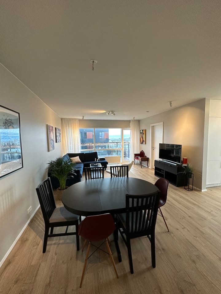 Modern 2-bedroom Penthouse Apartment In Reykjavik - Island