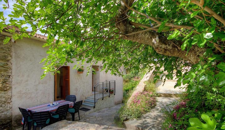 Casa Costantini - Haute-Corse