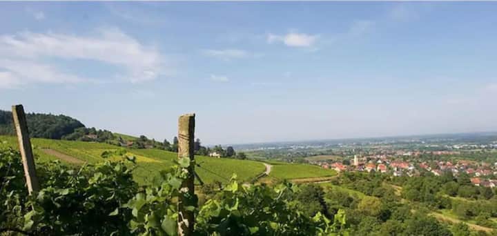 Wohnen Auf Zeit Inmitten Von Weinbergen - Baden-Baden