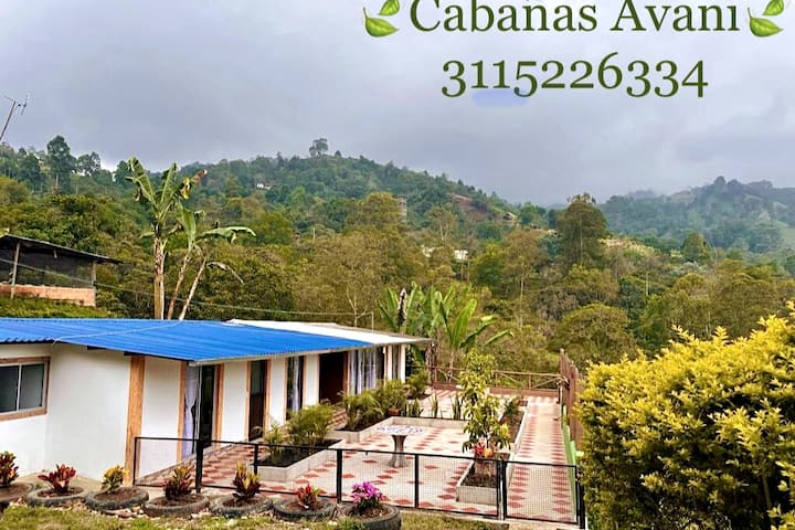 Comfortable Cabin With Jacuzzi - Avani 1 - San Francisco