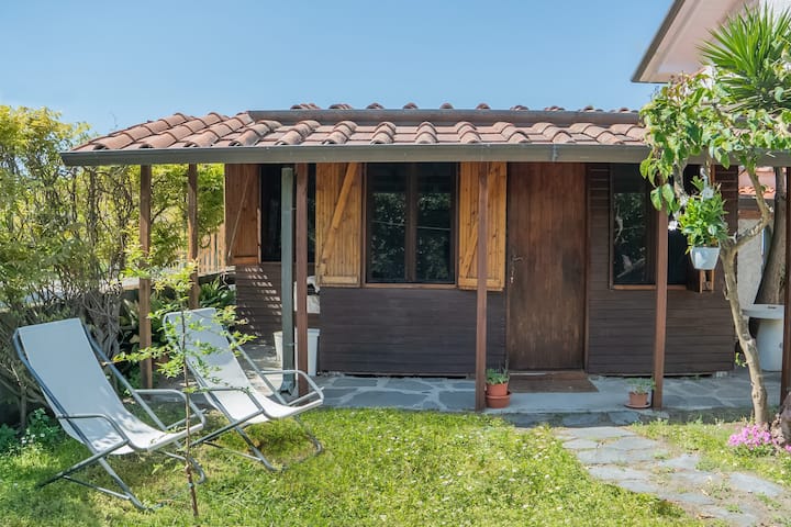Bungalow In Legno Con Giardino - Massa