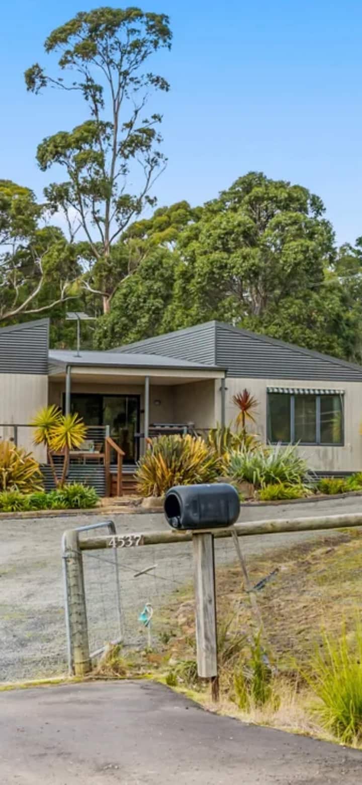 Amy’s Place:
A Coastal Oasis & Birdwatcher's Dream - Bruny Island