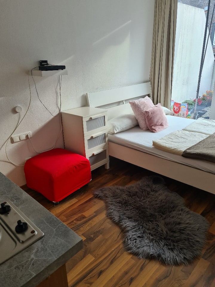 Terrassen Apartmet  Nur In Langzeitmiete - Munich