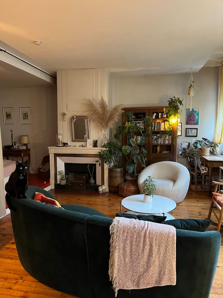 Lyon Centre : Appartement Cosy Et Climatisé (Chat) -
