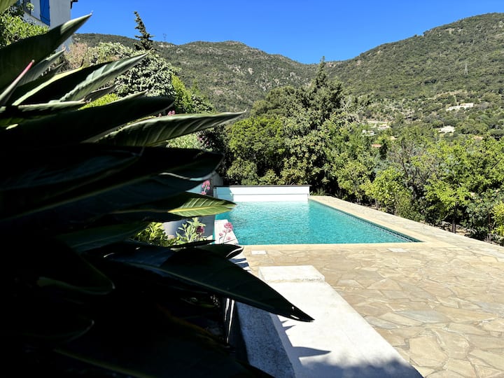 Cavalaire Sur Mer Villa Avec Piscine 14 Personnes - Hyères