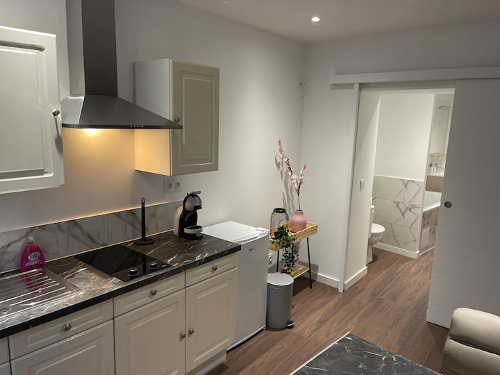 Superbe Appartement Tout éQuipé Avec Terrasse - Mazamet