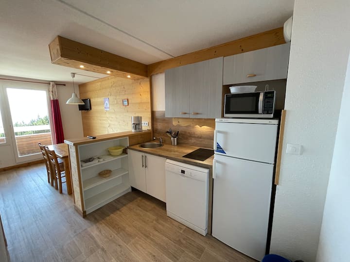 Alpe D'huez - Les Bergers - 4pers. Face Aux Pistes - Le Bourg-d'Oisans