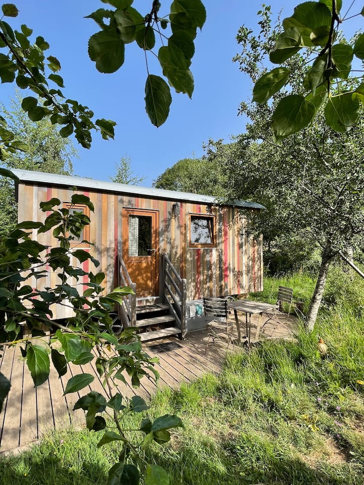 Roulotte De Berger« Boho Coline »3* Des 4 Saisons - Vosges