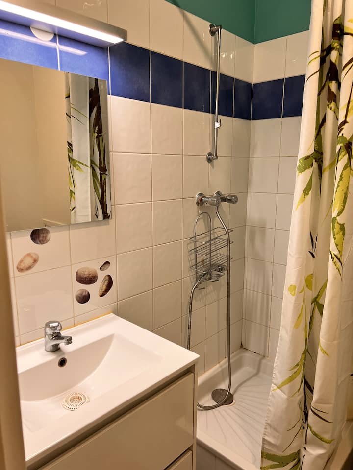 Chambre Dans Appartement En Plein Centre - Boulogne-Billancourt