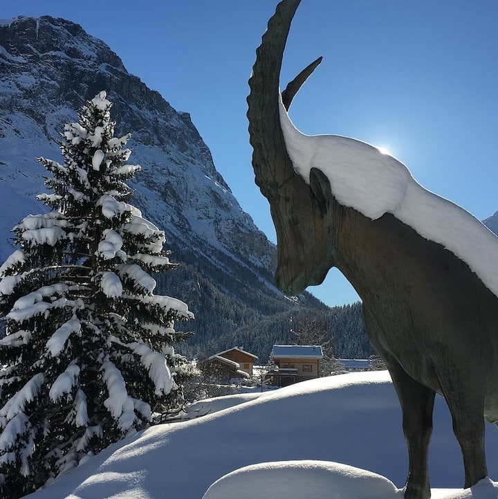 Appartement Cocooning à Pralognan La Vanoise - Courchevel 1850