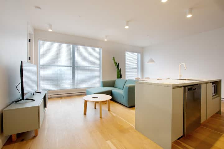 Sf501 - Lofts St-françois - Par Les Lofts Vieux-qc - Quebec