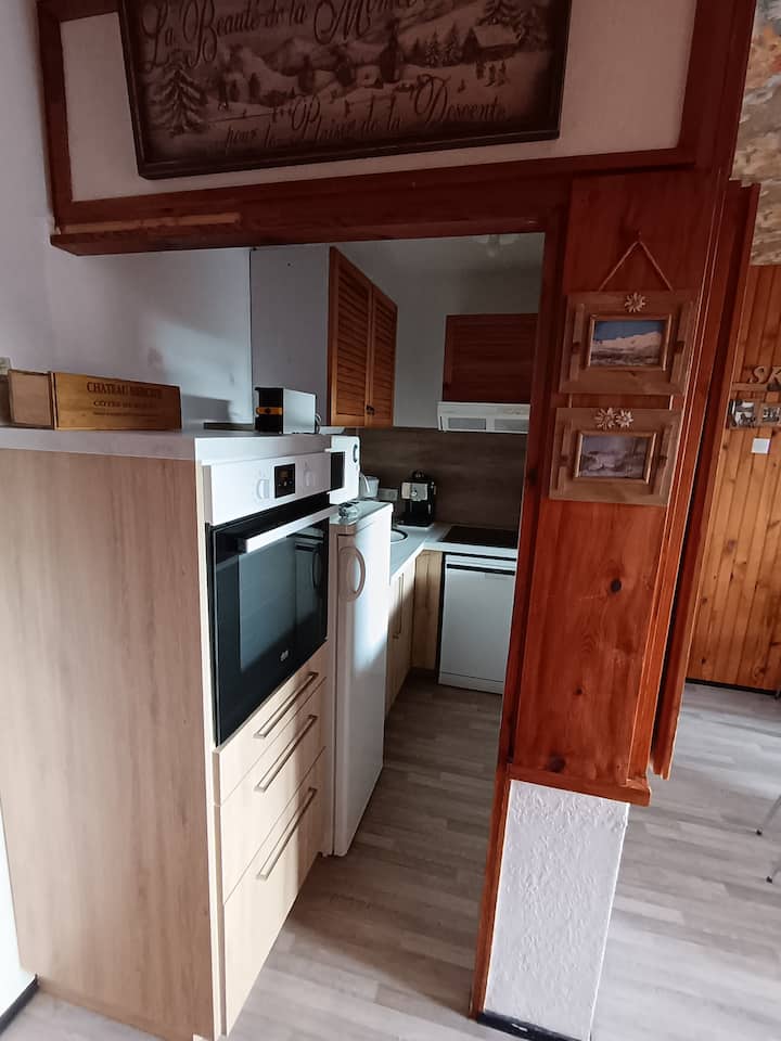 T2 Au Pied Des Pistes Centre Station Wifi, Garage - Chambon-sur-Lac