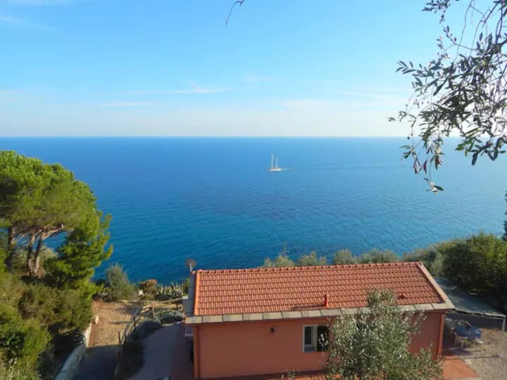 Imperiaparadise Ulivodisempre - San Bartolomeo al Mare
