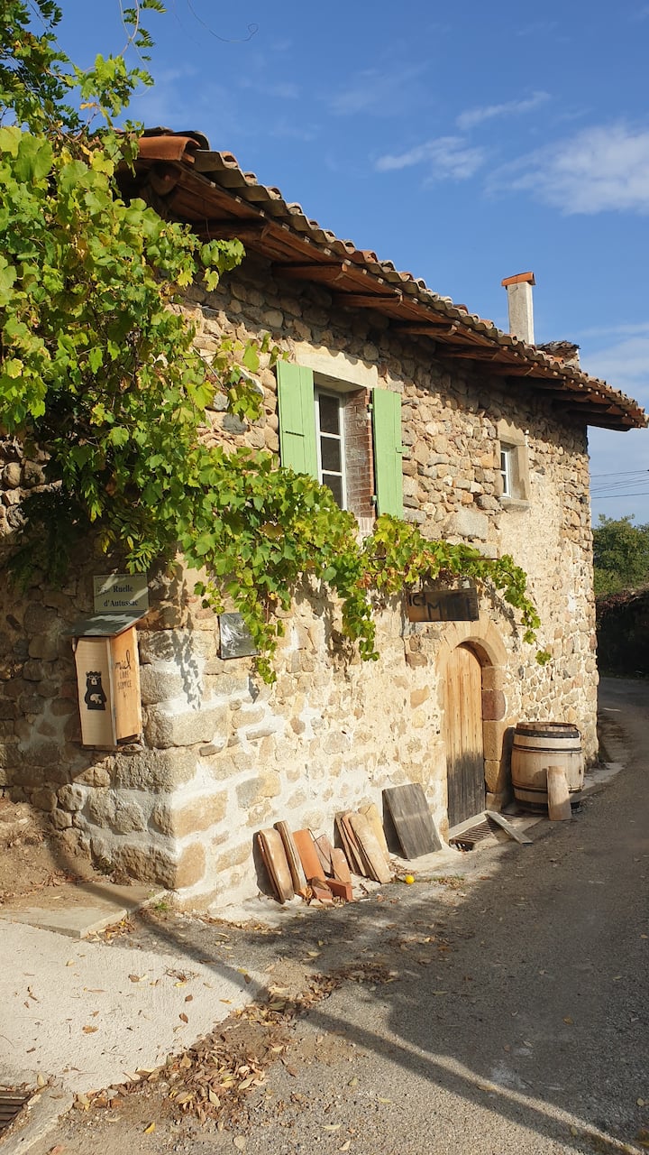 Gîte De L'ours, De Caractère Tout Confort Au Calme - Livron-sur-Drôme