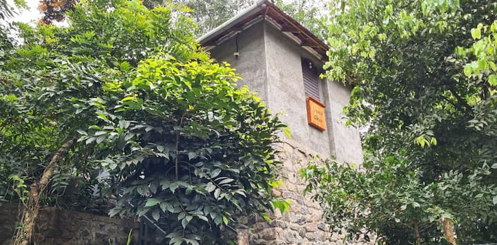 3 Bedroom Guesthouse In A Medicinal Plantation - Thekkady