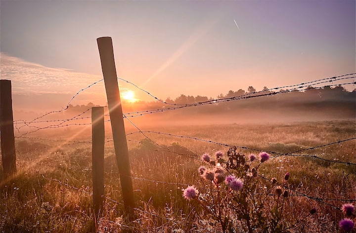 Hoeve In Een Bosrijke Omgeving - Malle
