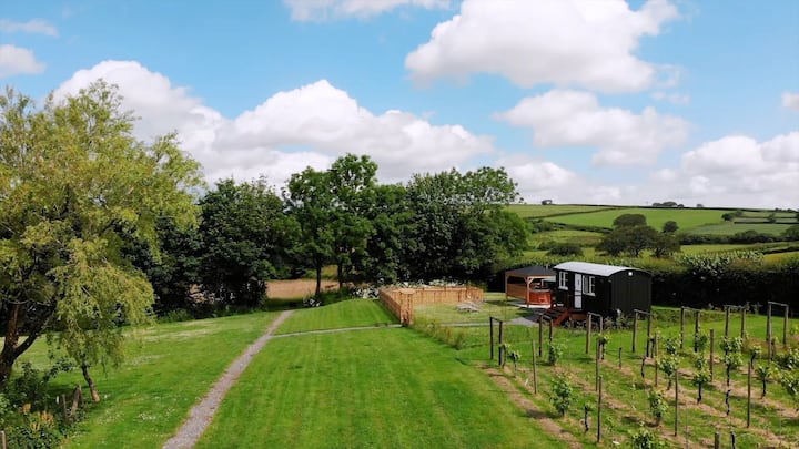 Shepherds Hut In Devon Countryside With Hot Tub! - Holsworthy