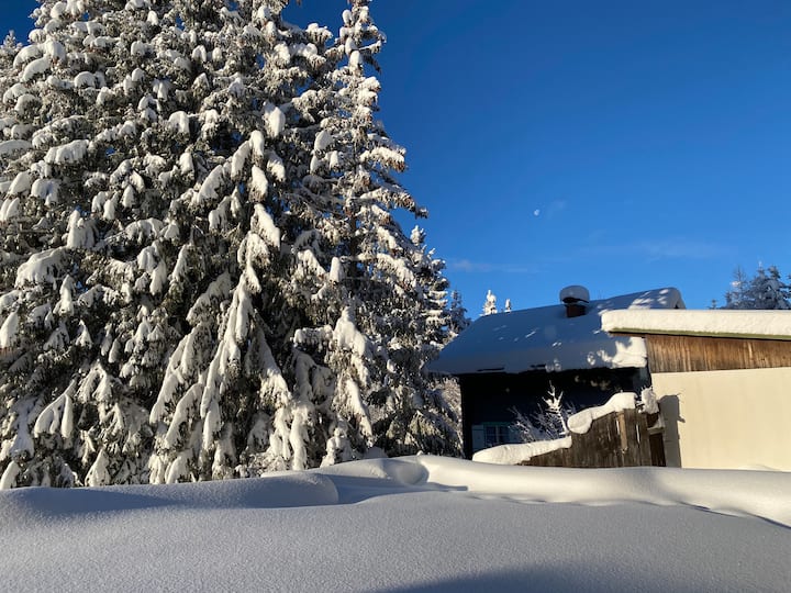 Liv:good Gerlitzen
Appartement Mit Eigenem Garten - Gerlitzen