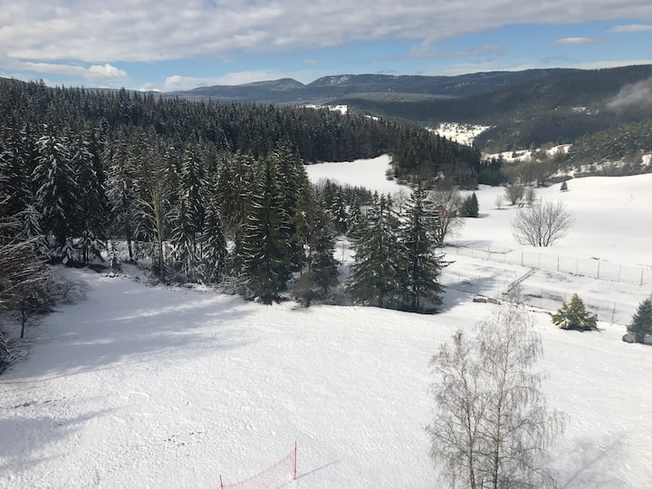 Studio Chaleureux -Les Glovettes - Villard-de-Lans