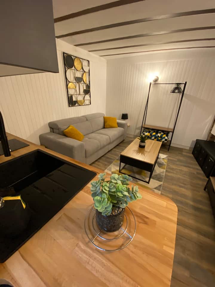 Bed&business - éLégant Studio En Hyper Centre - Toulouse