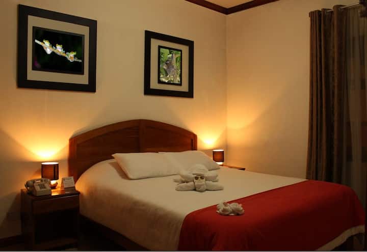 Una Excelente Opcion De Hotel En San José - San José