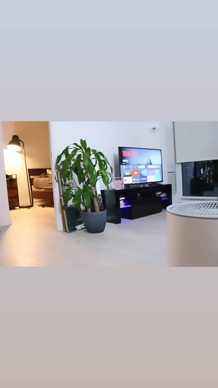 Home And Away) Peaceful And Central 1 Br.balcony - Toronto