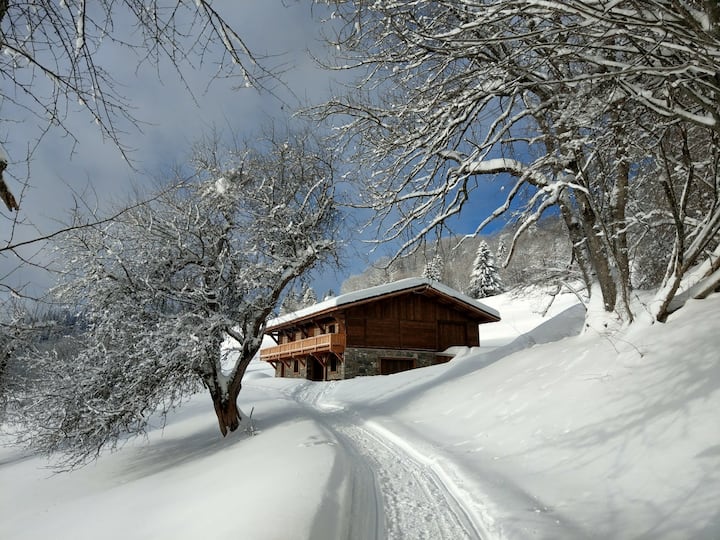 Appart 9 Personnes Au Calme, Amoureux De La Nature - Les Gets