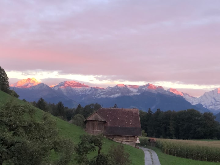 Renovierte Ferienwohnung Auf Kleiner Pferdefarm - Thun