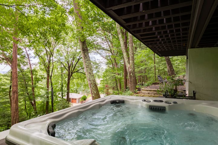 Luxury Efficiency Suite - Asheville, NC