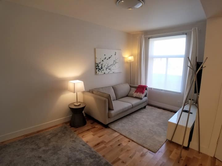 3 Bedroom Near Olympic Stadium - Montreal