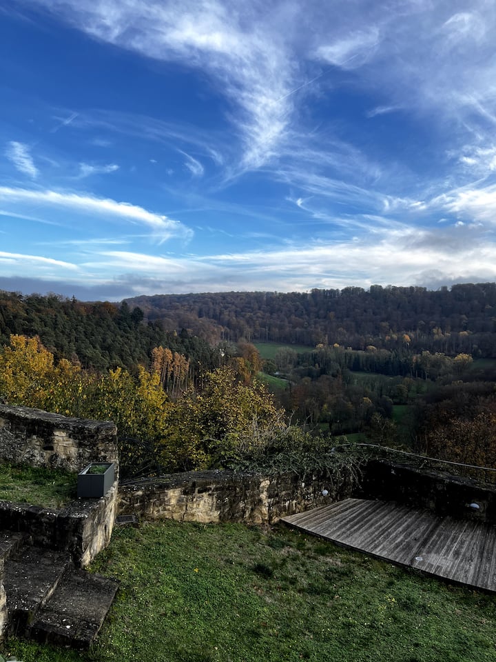 3 Chambres Dans Un Ancien Hôtel 4 éToiles - Luxembourg