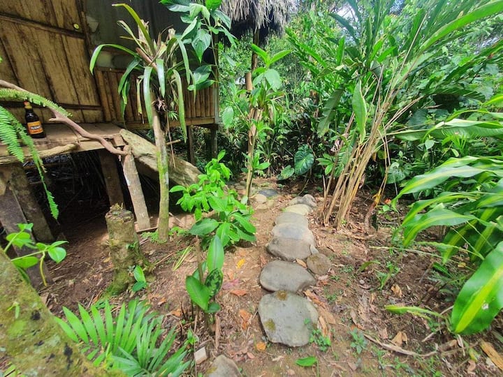 Cabane éCologique - Pastaza