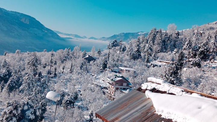 Stunning Offbeat Manali Cabin In Apple Orchard - Manali