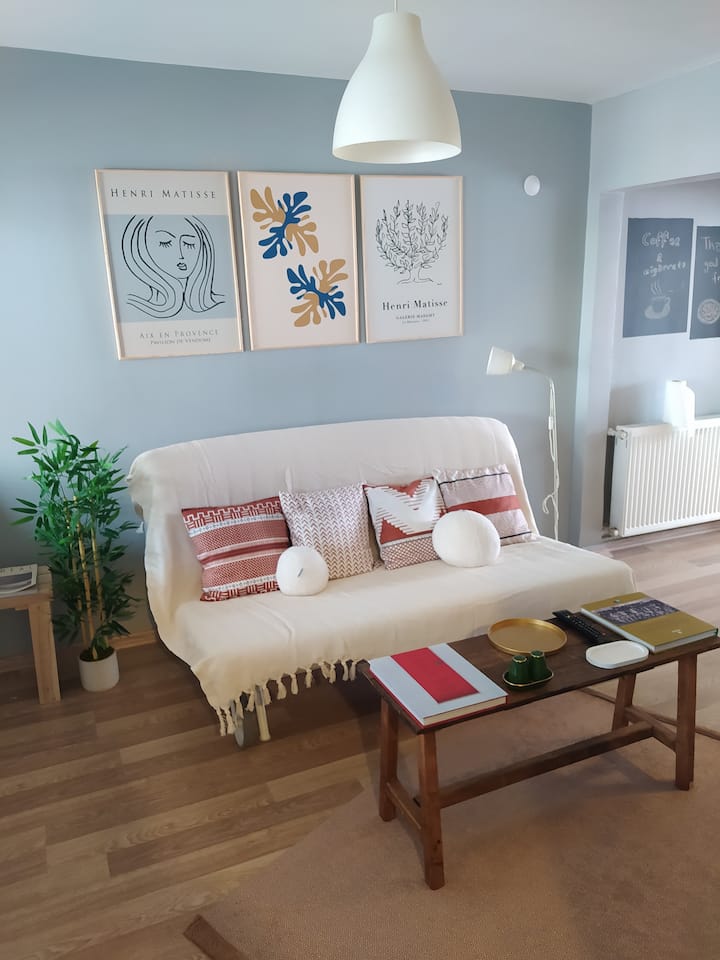 Two 1+1 Flats In The City Center - Estambul