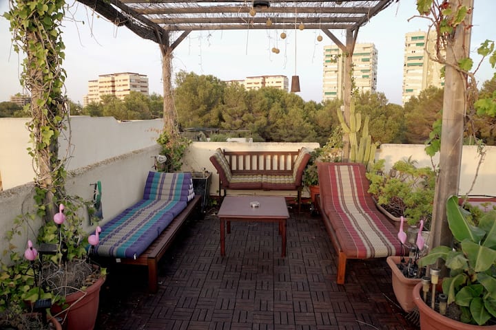 Apartamento  El Saler Playas. Valencia - El Saler