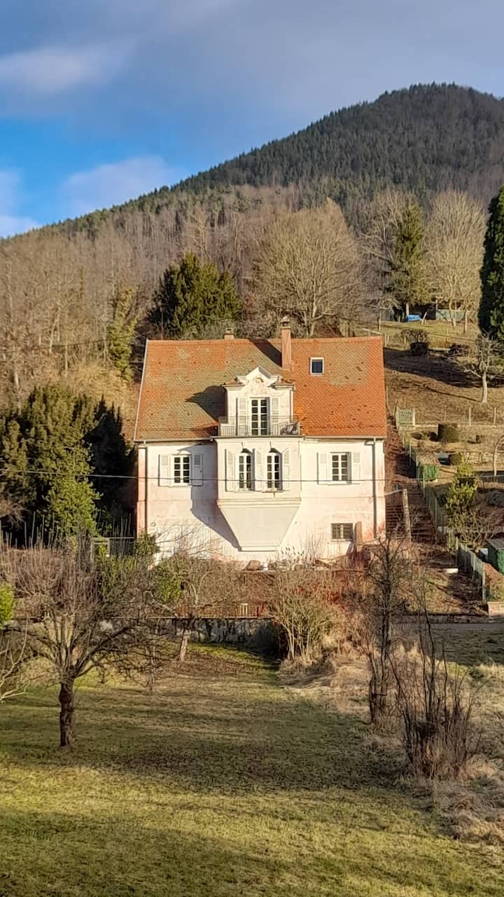 Studio Le Kesbel 2 Personnes - Bergheim, France