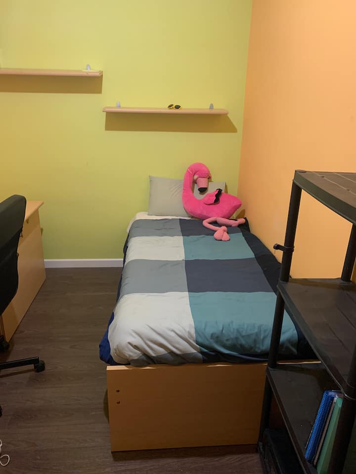 Habitación Privada Valladolid - Valladolid, España