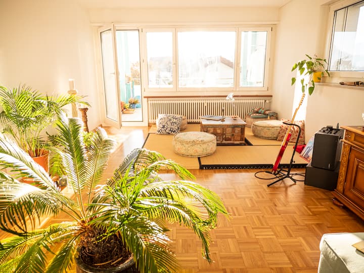 Wunderschöne Wohnung In Luzern - Lucerne