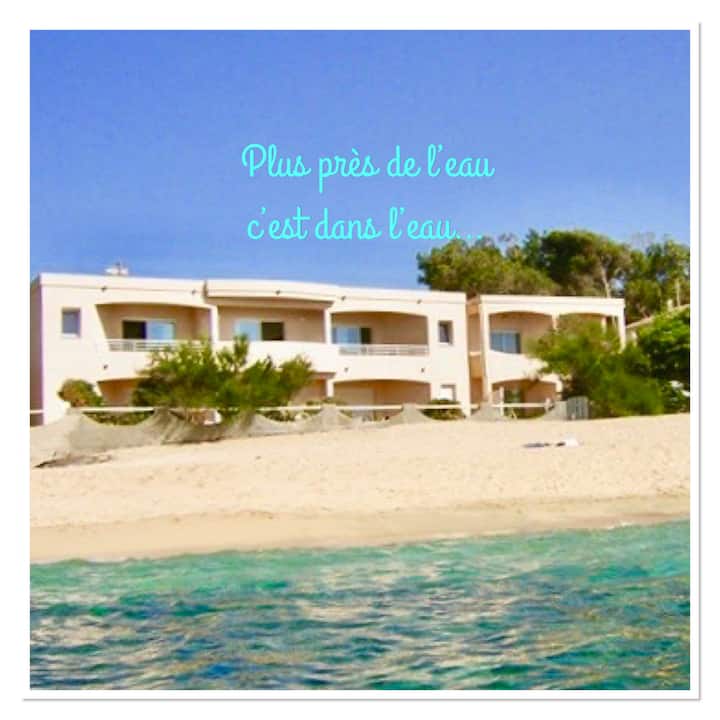 T1  Sur La Plage, Les Pieds Dans L'eau - Olmeto
