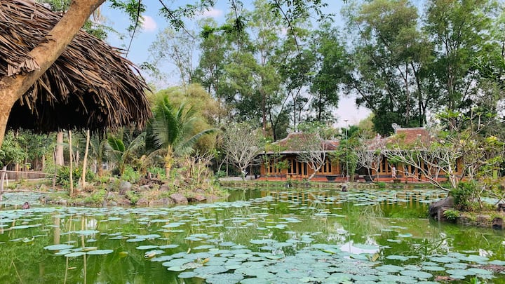 Căn Hộ Hai Phòng Ngủ Bình Yên Giữa Thiên Nhiên - Ciudad Ho Chi Minh