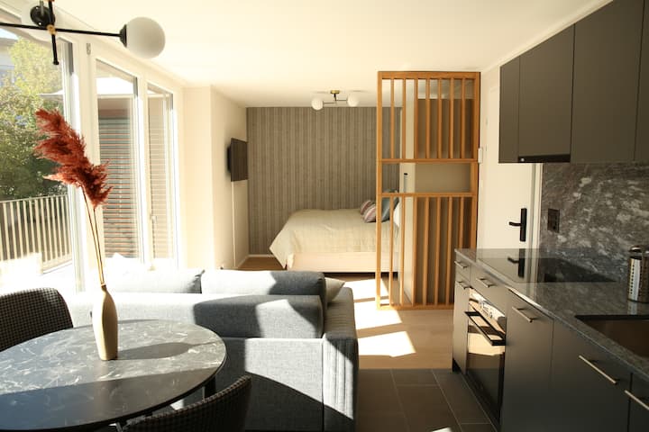 Neues Serviced Apartment In Zürich - Zürich